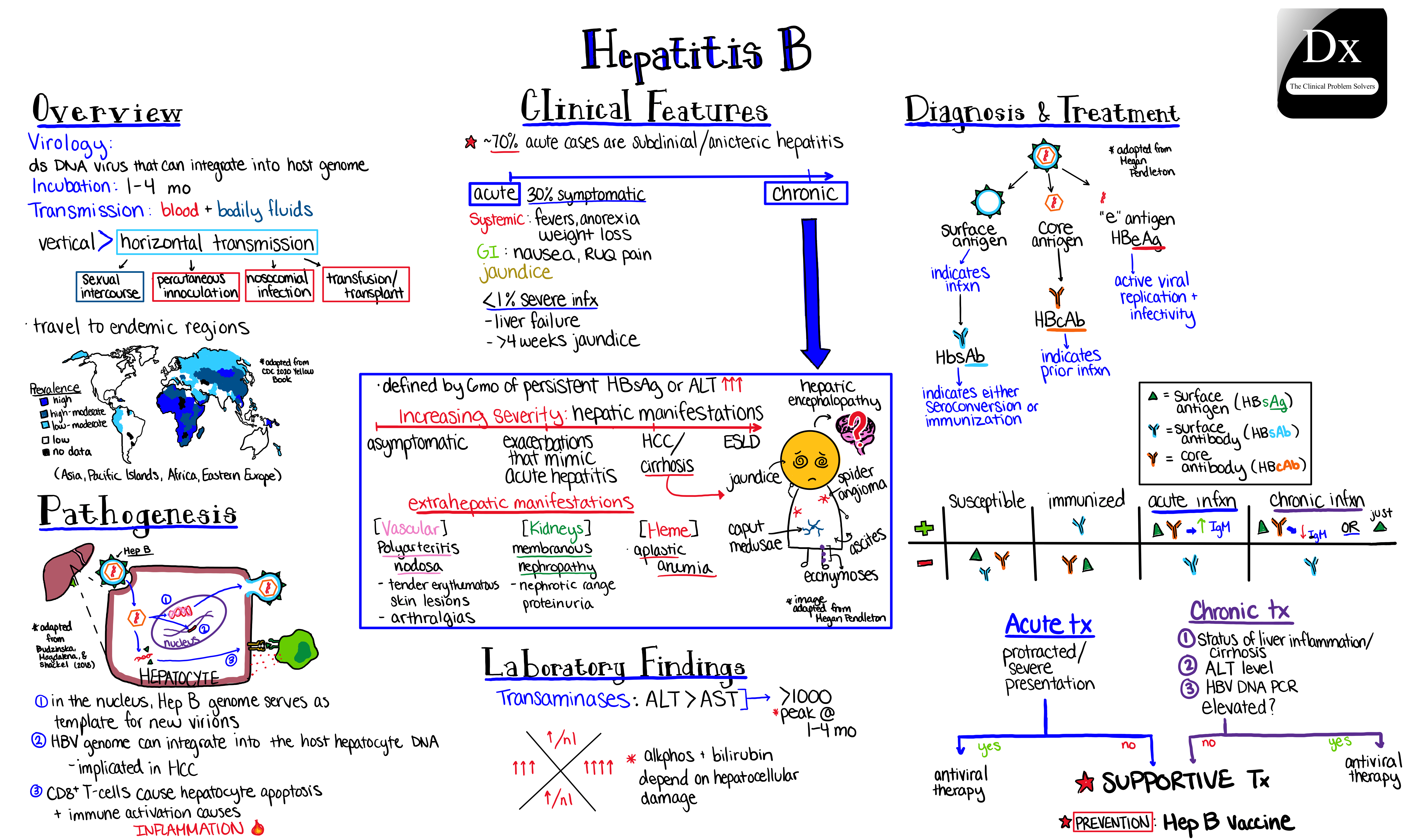 Hepatitis B – The Clinical Problem Solvers