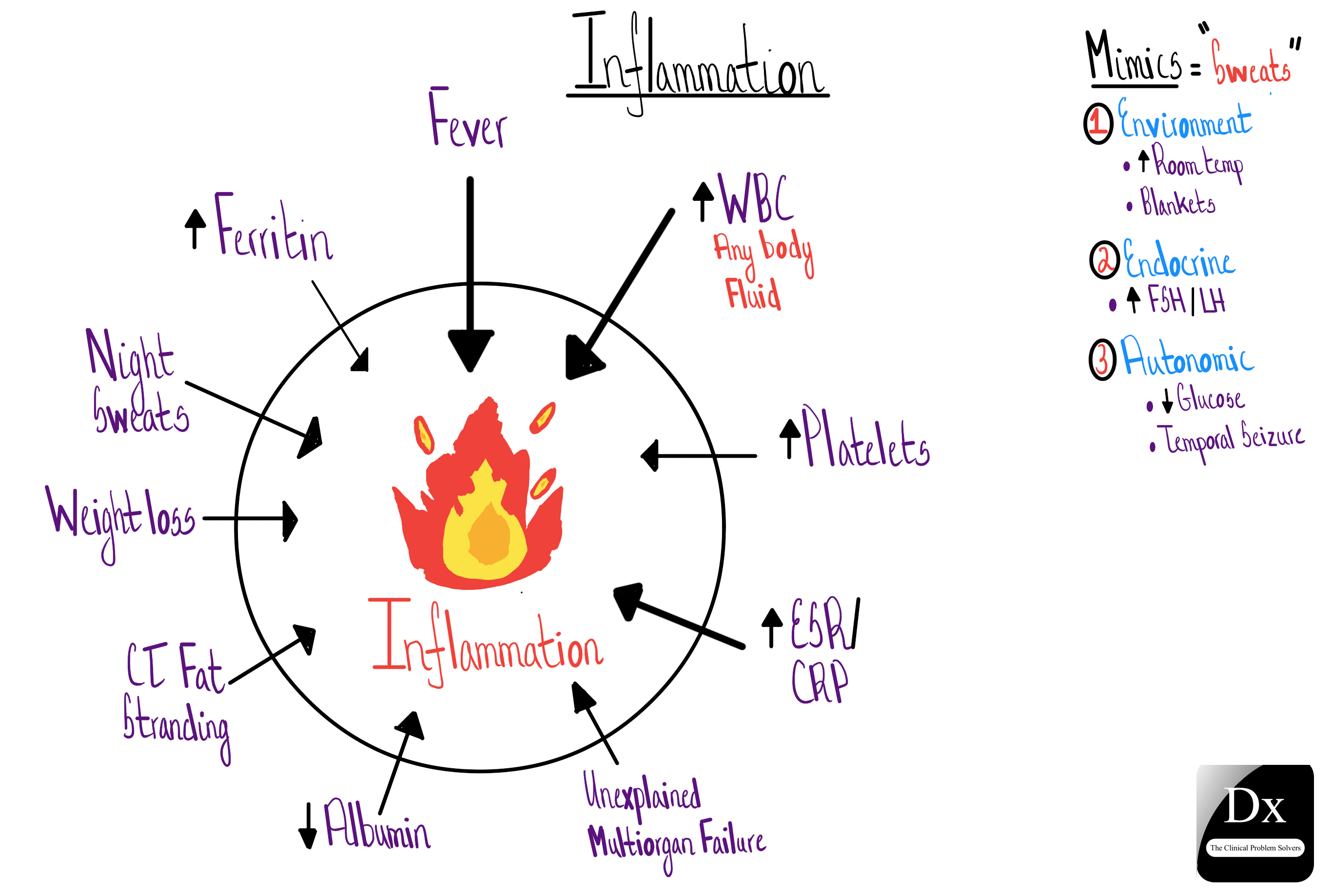 Inflammation – Overview – The Clinical Problem Solvers