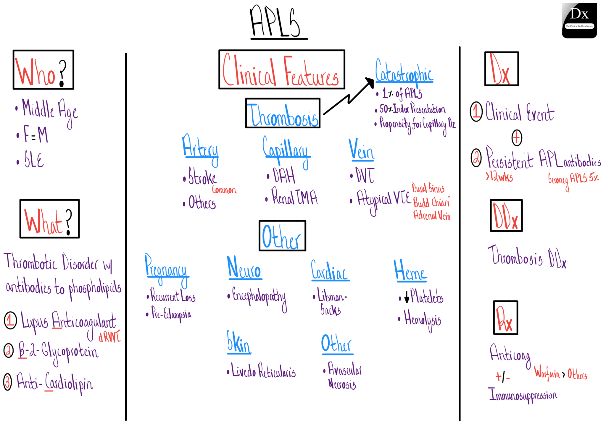 Antiphospholipid Syndrome – The Clinical Problem Solvers