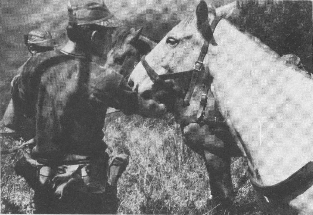 Grey's Scouts Interview: Michael Watson | SOFREP