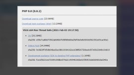 How to Install Nginx, PHP, and MySQL on Windows 11 – CodeFAQ