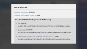 How to Install Nginx, PHP, and MySQL on Windows 11 – CodeFAQ