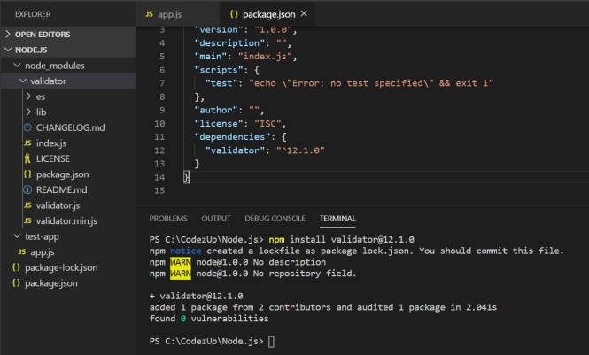 Import Validator or Install Node Modules in Node.js | Codez Up