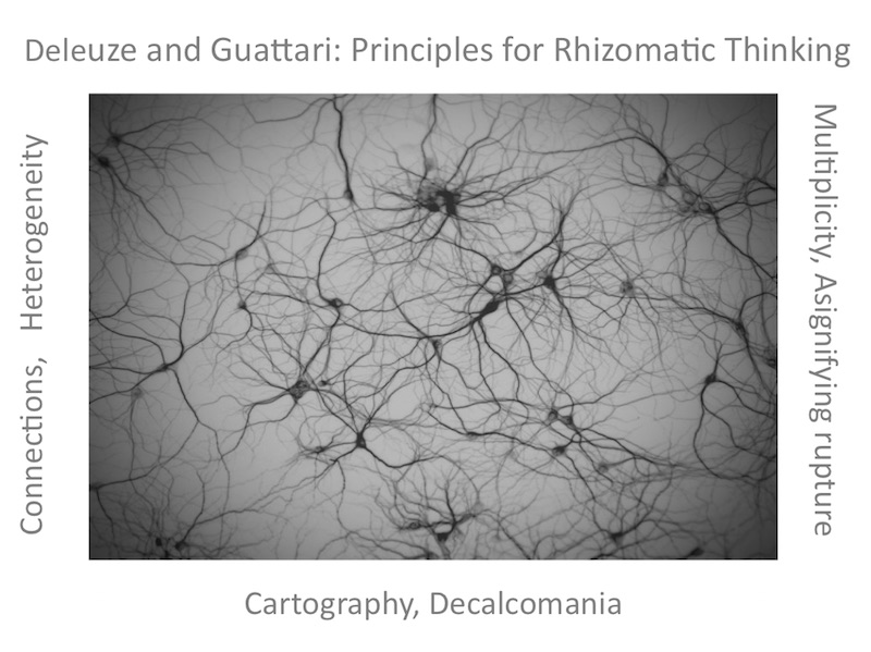 Rhizomatic programming – Codical Notes