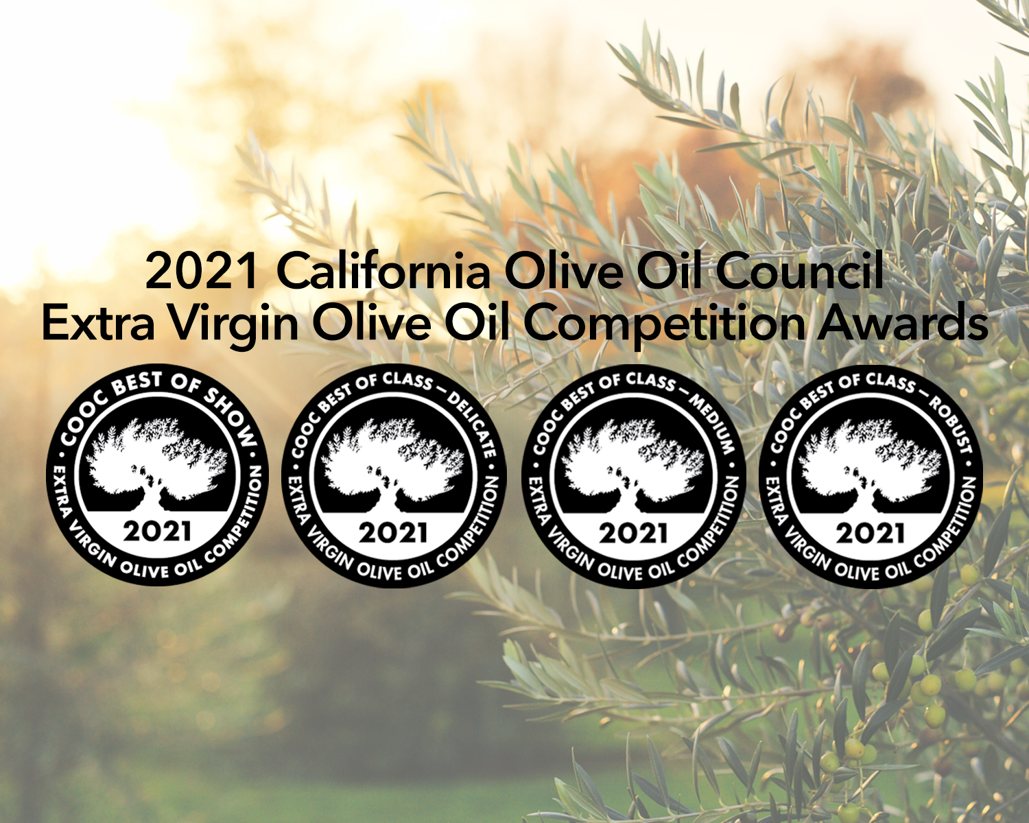 2021 COOC Extra Virgin Olive Oil Competition - California Olive Oil Council