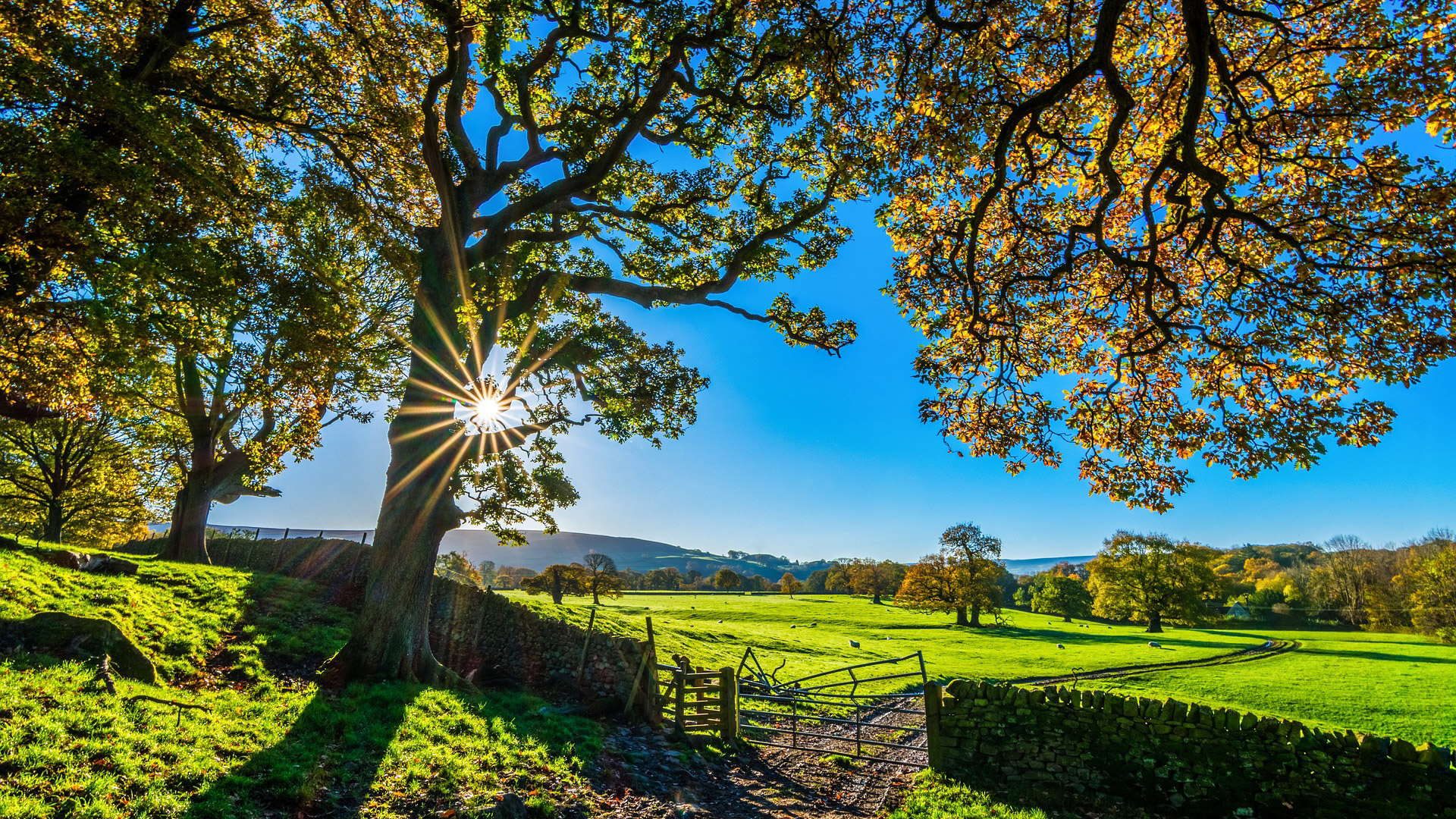 Rural Community Development | County Down Rural Community Network