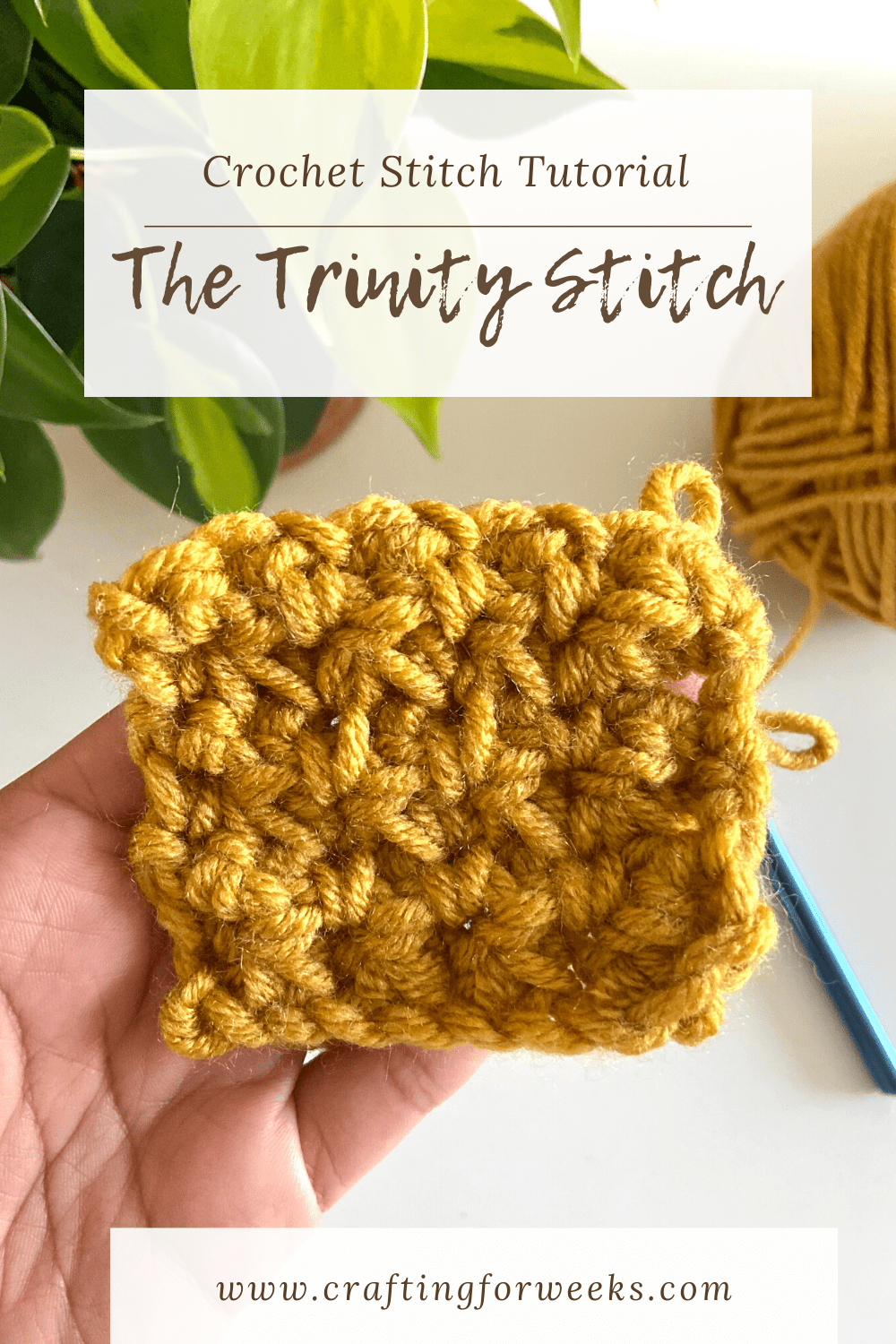 The Trinity Stitch: Crochet Stitch Tutorial - Crafting for Weeks