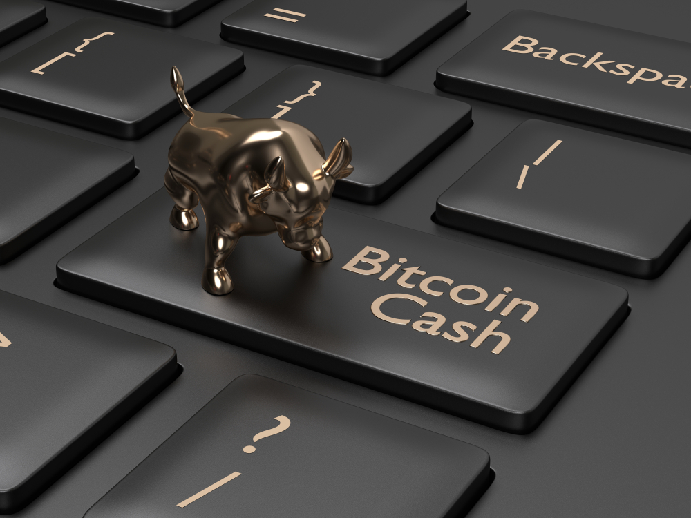 El Token del día 10/10: Bitcoin Cash - CriptoTendencia