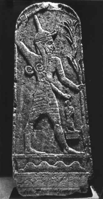 LOTAN: (MEDITERRANEAN SEA) | Cryptopia - Exploring The Hidden World