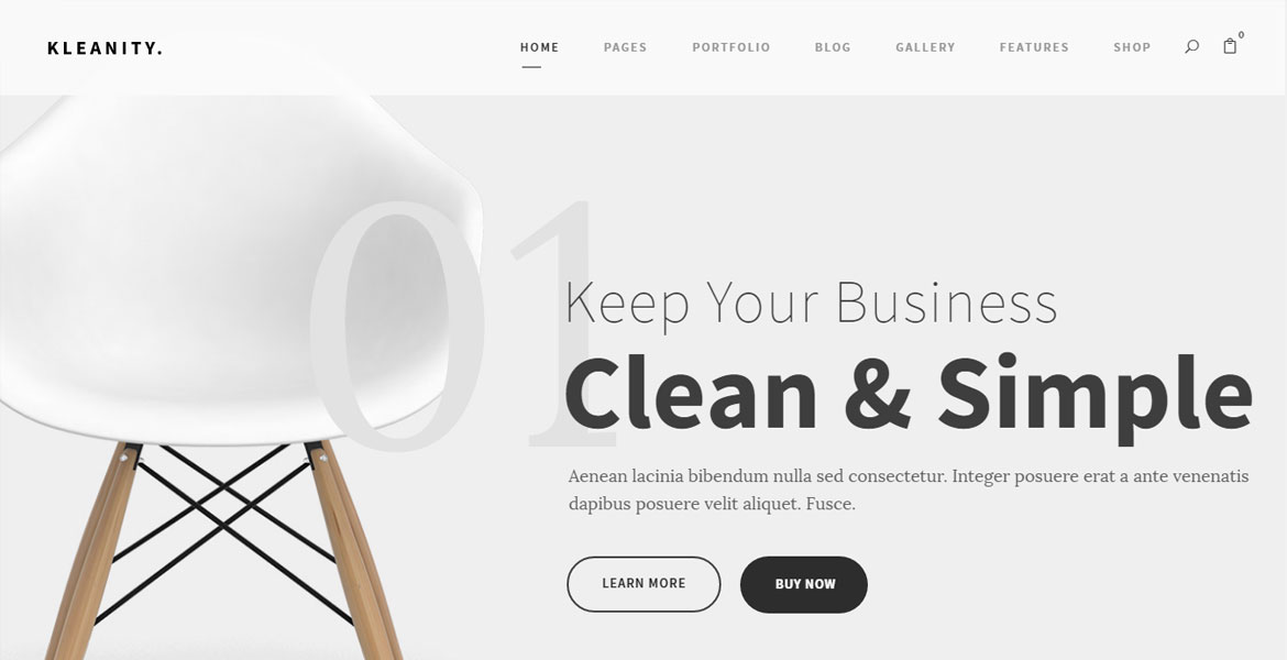 Kleanity - Minimalist WP Theme - CSS Nectar CSS Gallery