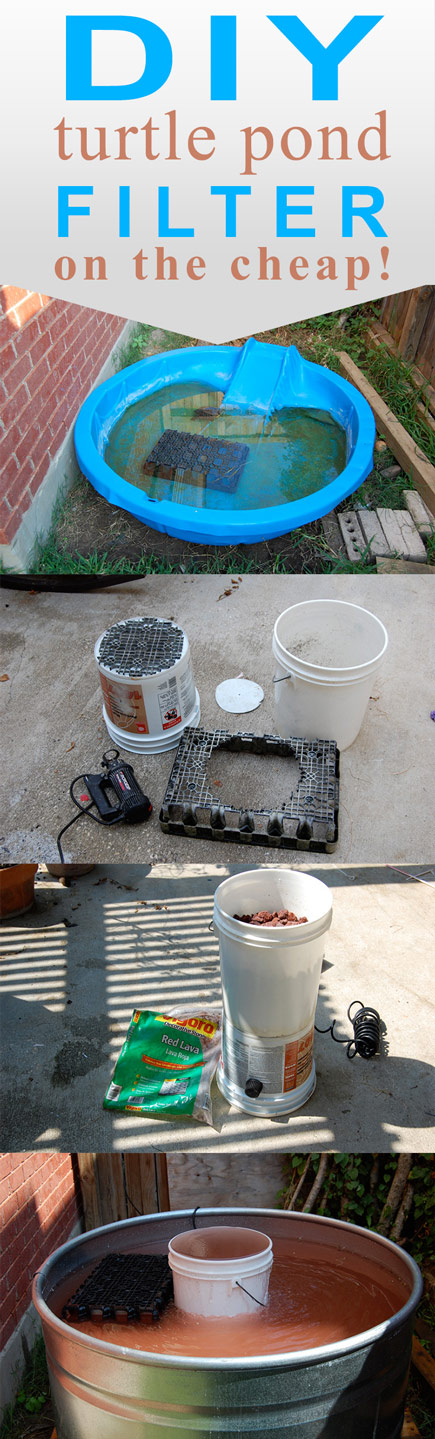 Pet Turtle Pond With DIY Filter - Daddykirbs Farm