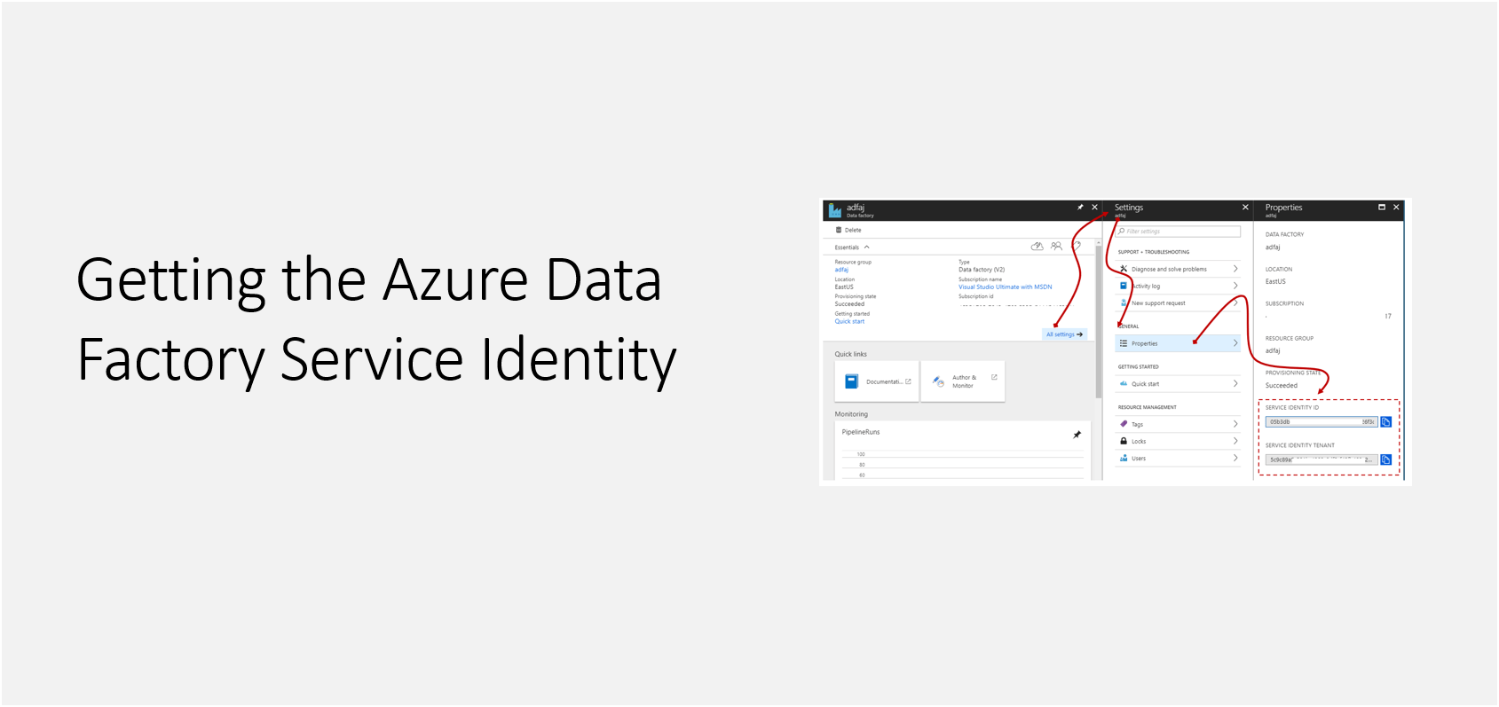 Getting the Azure Data Factory Service Identity - Daily .NET Tips