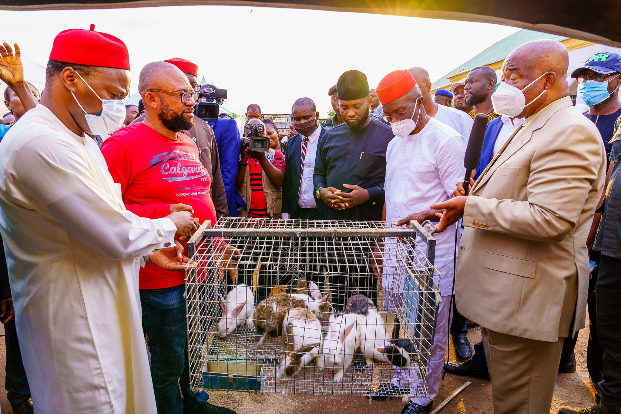 Imo governor, Hope Uzodinma, launches rabbits empowerment scheme ...