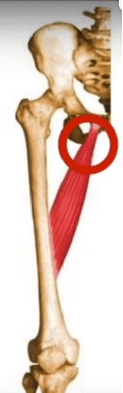 Lesão de Adutores da Coxa – Daniel Bohn