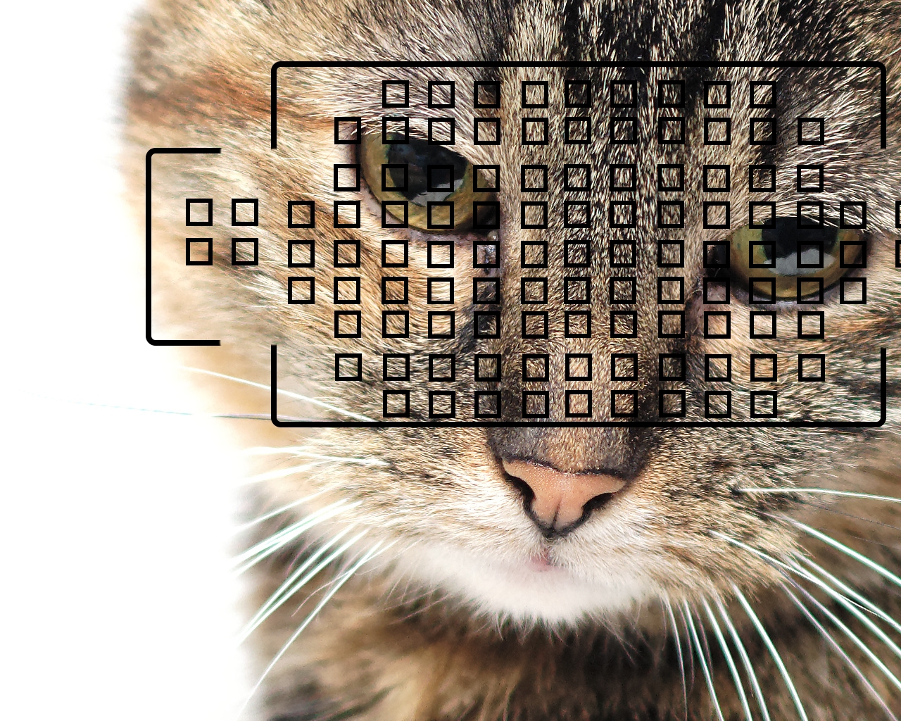 La gestion des collimateurs | Danslecollimateur.fr