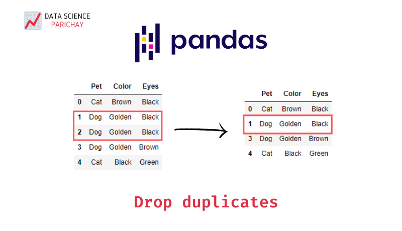How To Remove Duplicate Rows In Excel Using Pandas Howtormeov 9852
