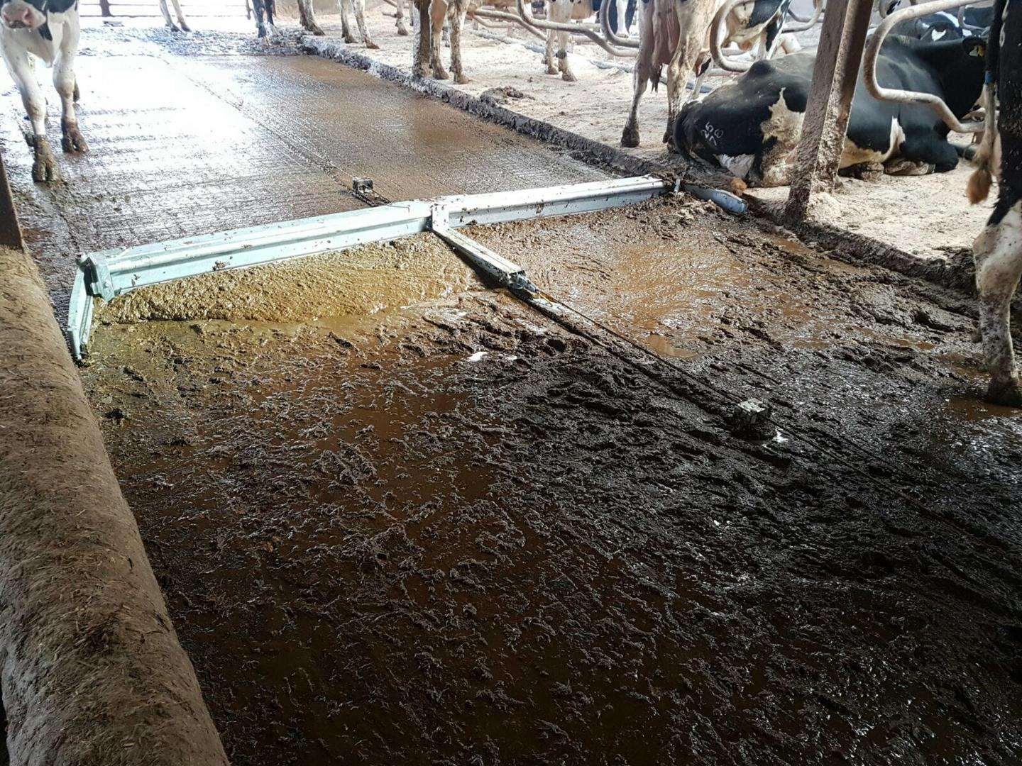 Manure scraping systems | David R Beech