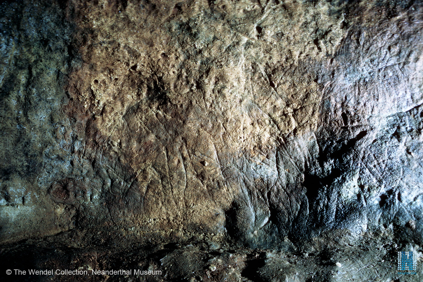 The Affectivity of Prehistoric Art (Part 3) – Darren Ambrose