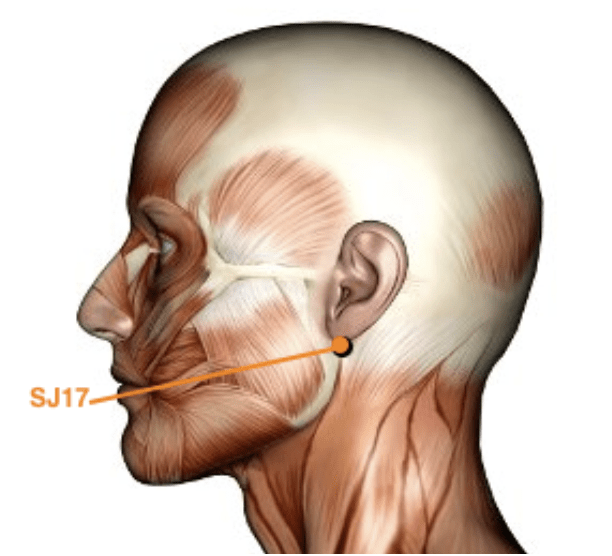 Acupressure points for Stress and Anxiety - Debbie Lee