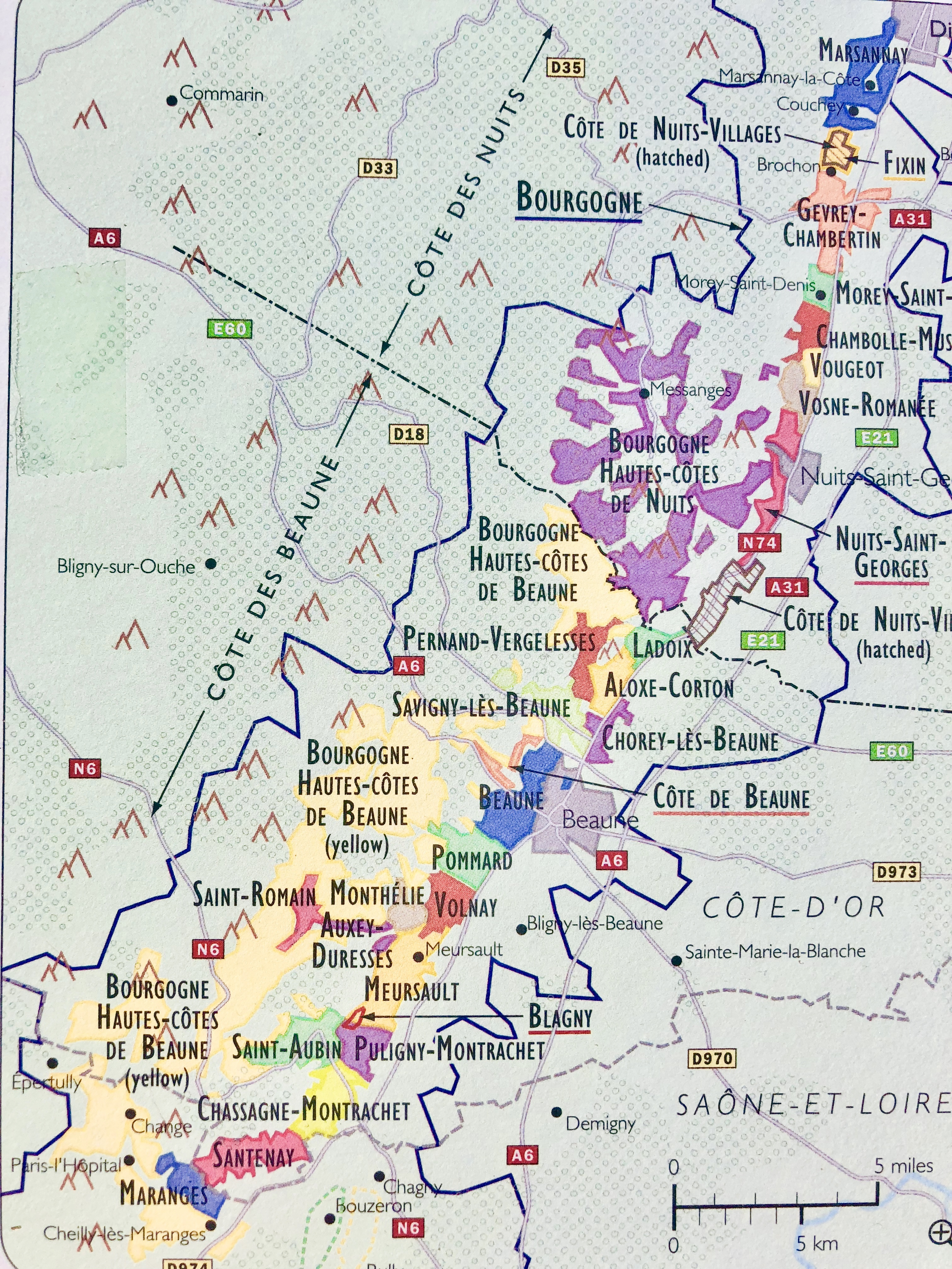 COTE De NUITS Wine - Demystifying "The Vine"