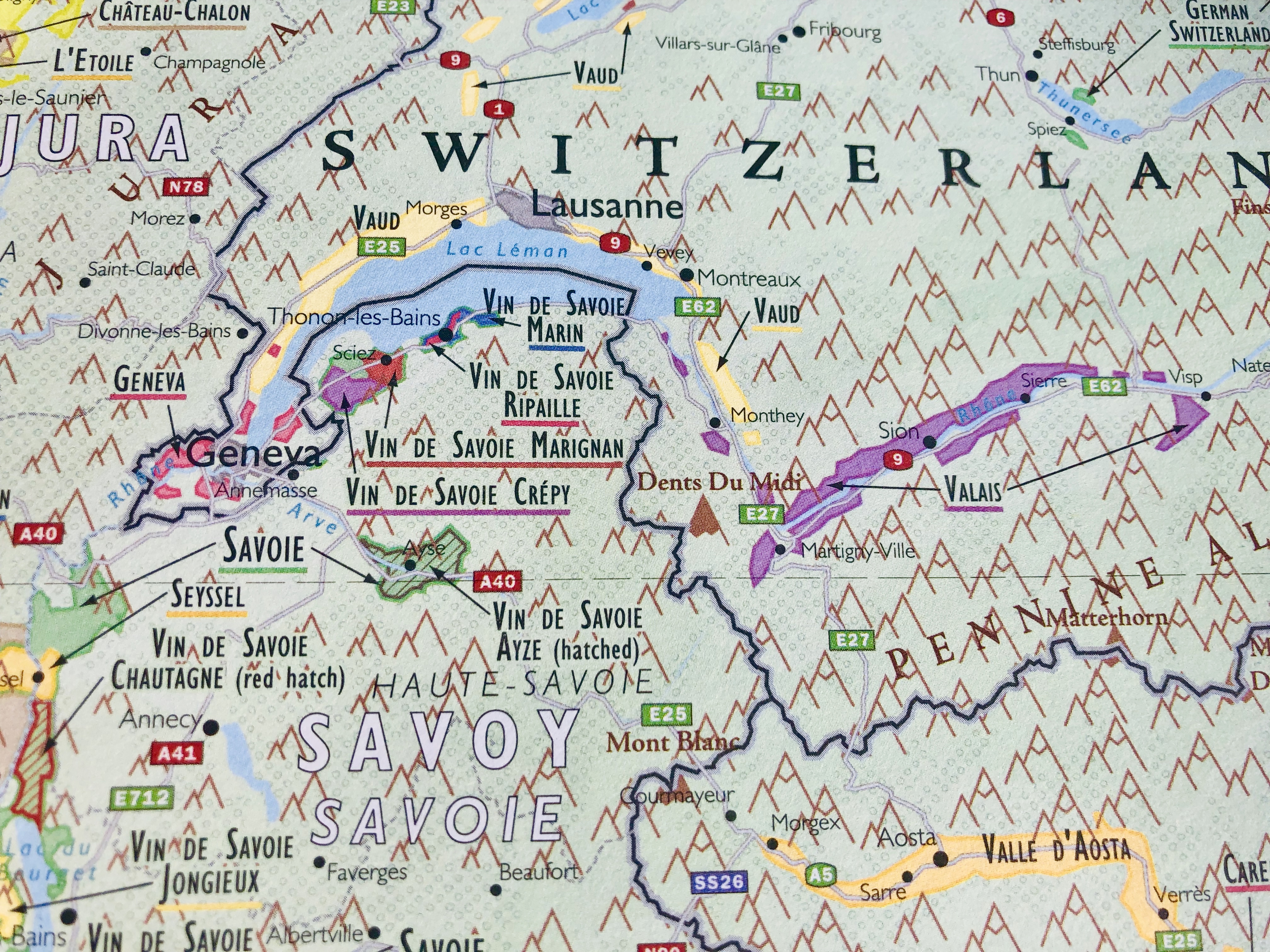 SWITZERLAND Wine - Demystifying "The Vine"