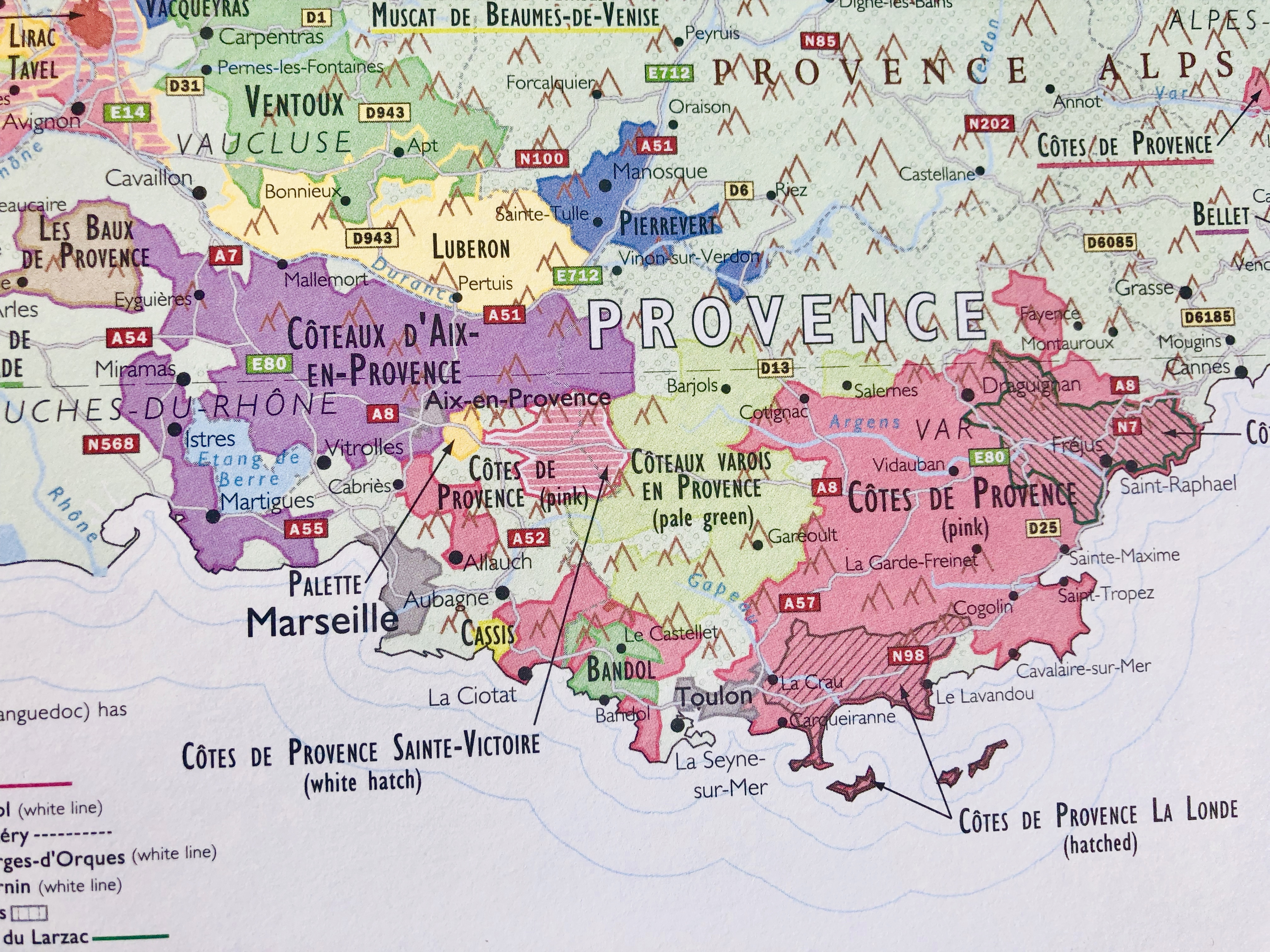 PROVENCE Wine - Demystifying "The Vine"
