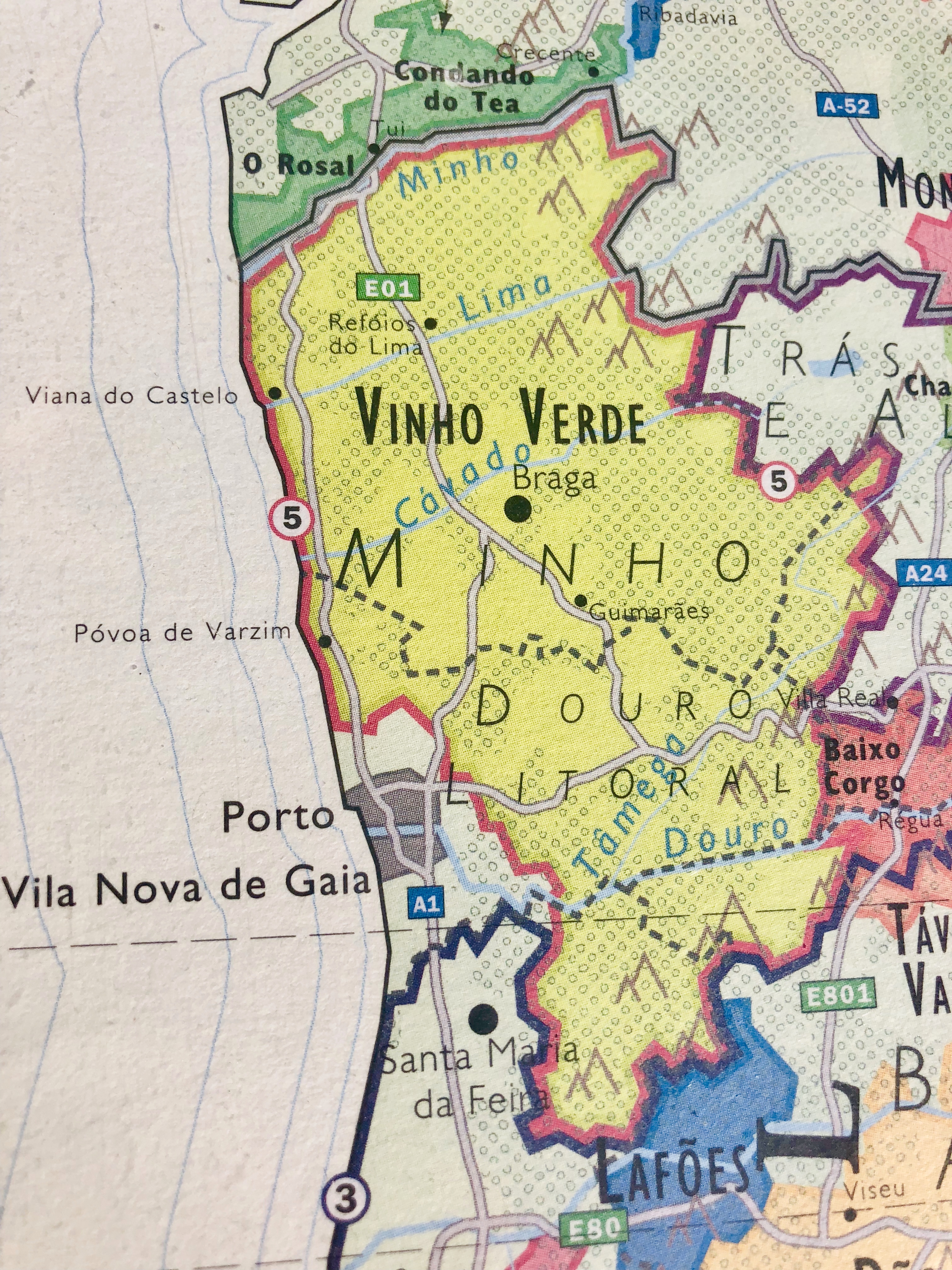 MINHO Wine - Demystifying "The Vine"