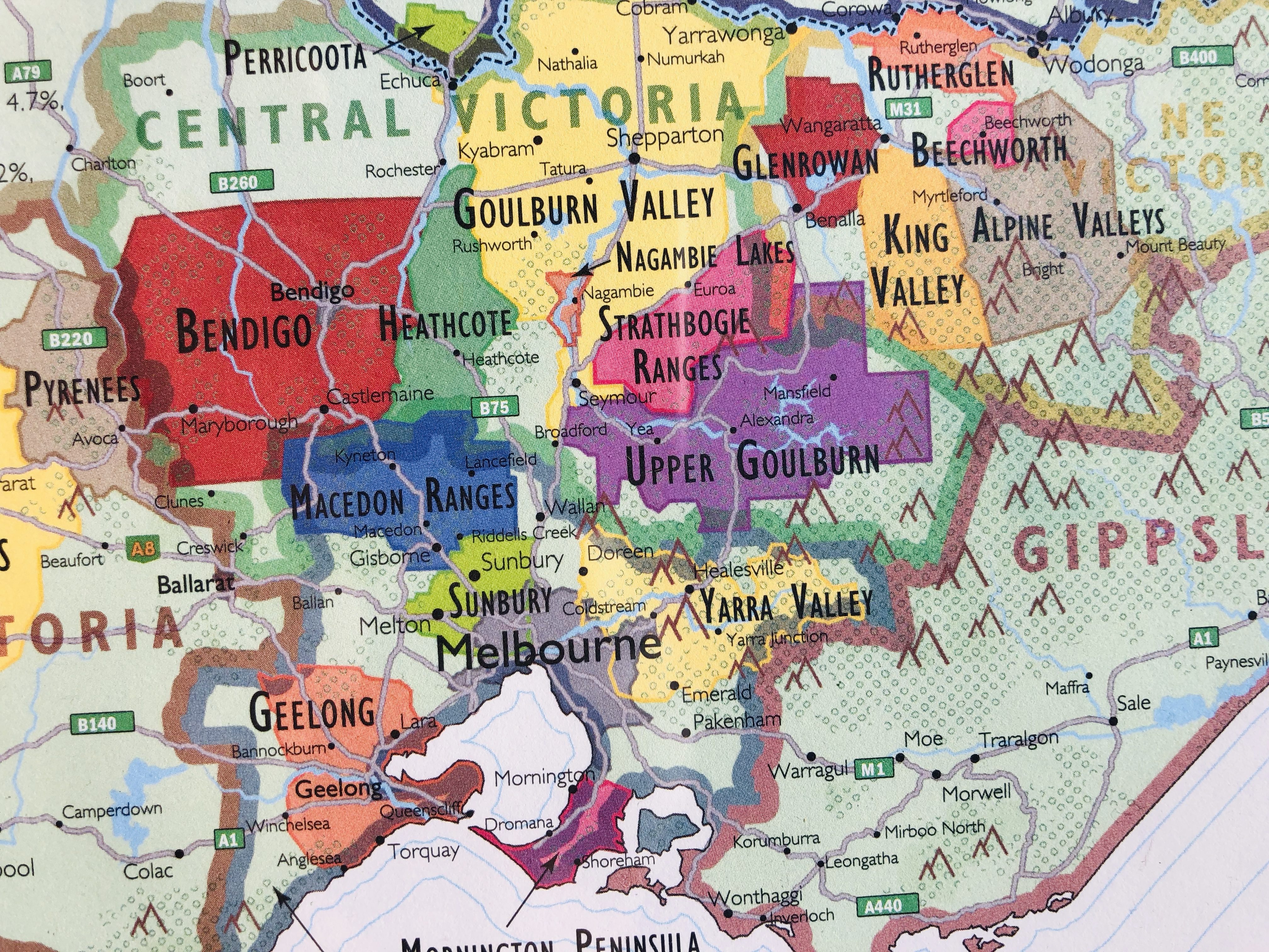 VICTORIA Wine - Demystifying "The Vine"
