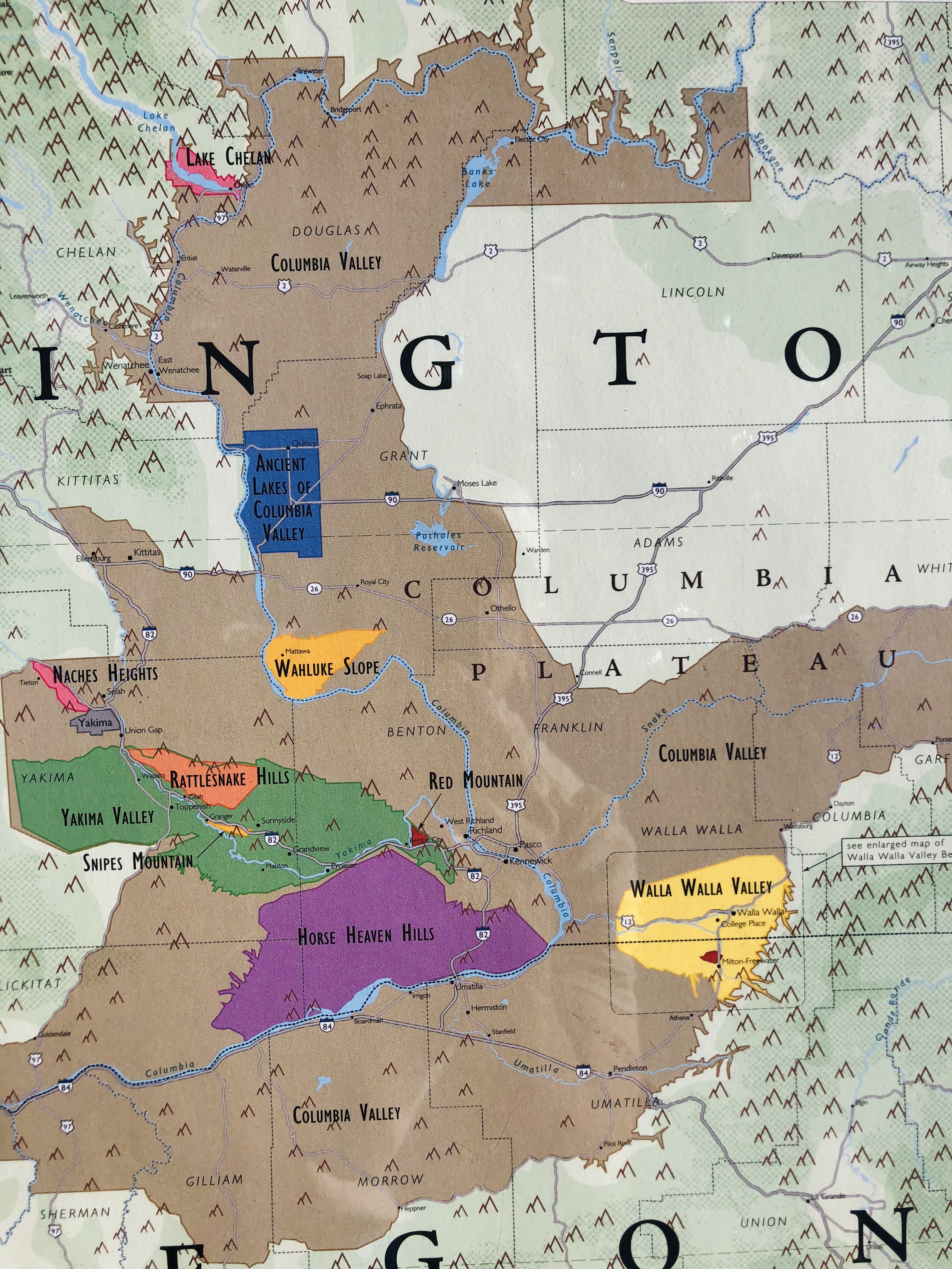 WASHINGTON Wine - Demystifying "The Vine"