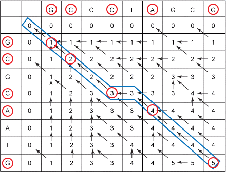 Computer science aids molecular biology | Mrs. Elia's Algorithms and ...