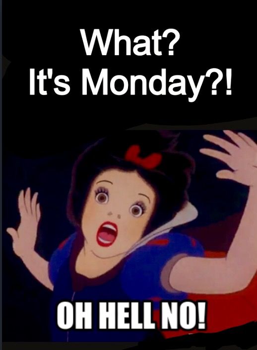 Monday morning by the power of Greyskull - Didactic Mind