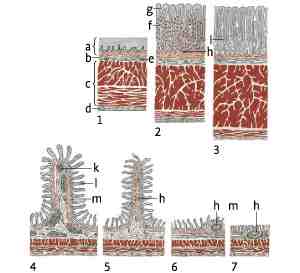 Steinlaus | Pschyrembel Weblog | Seite 3