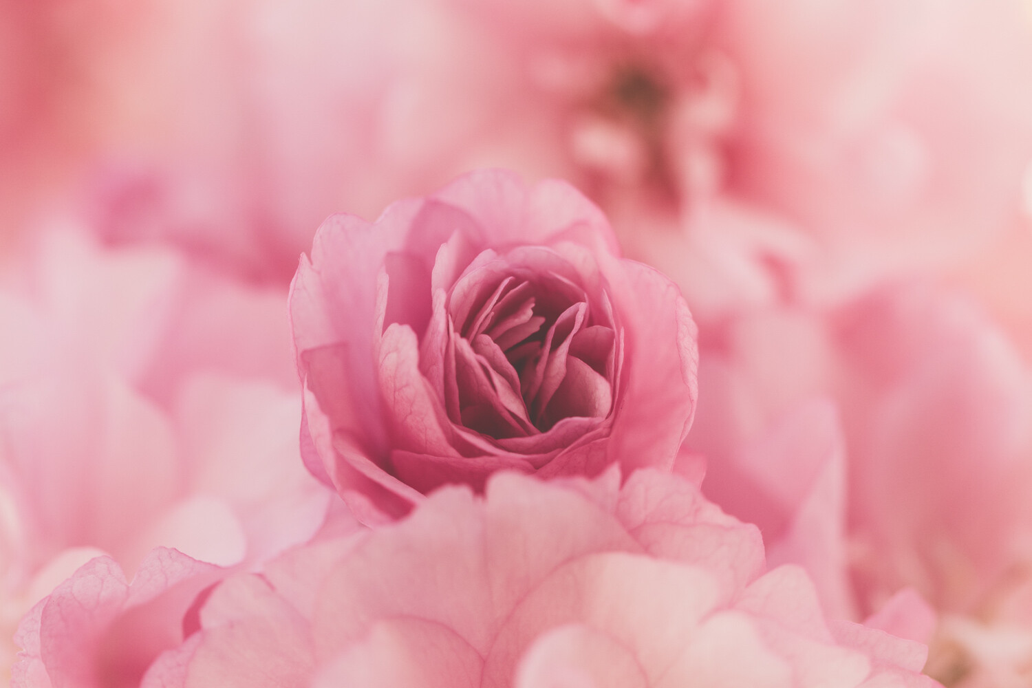 Blur And Creative Photography Why Your Images Don t Need To Be 100 blur-and-creative-photography-why-your-images-don-t-need-to-be-100