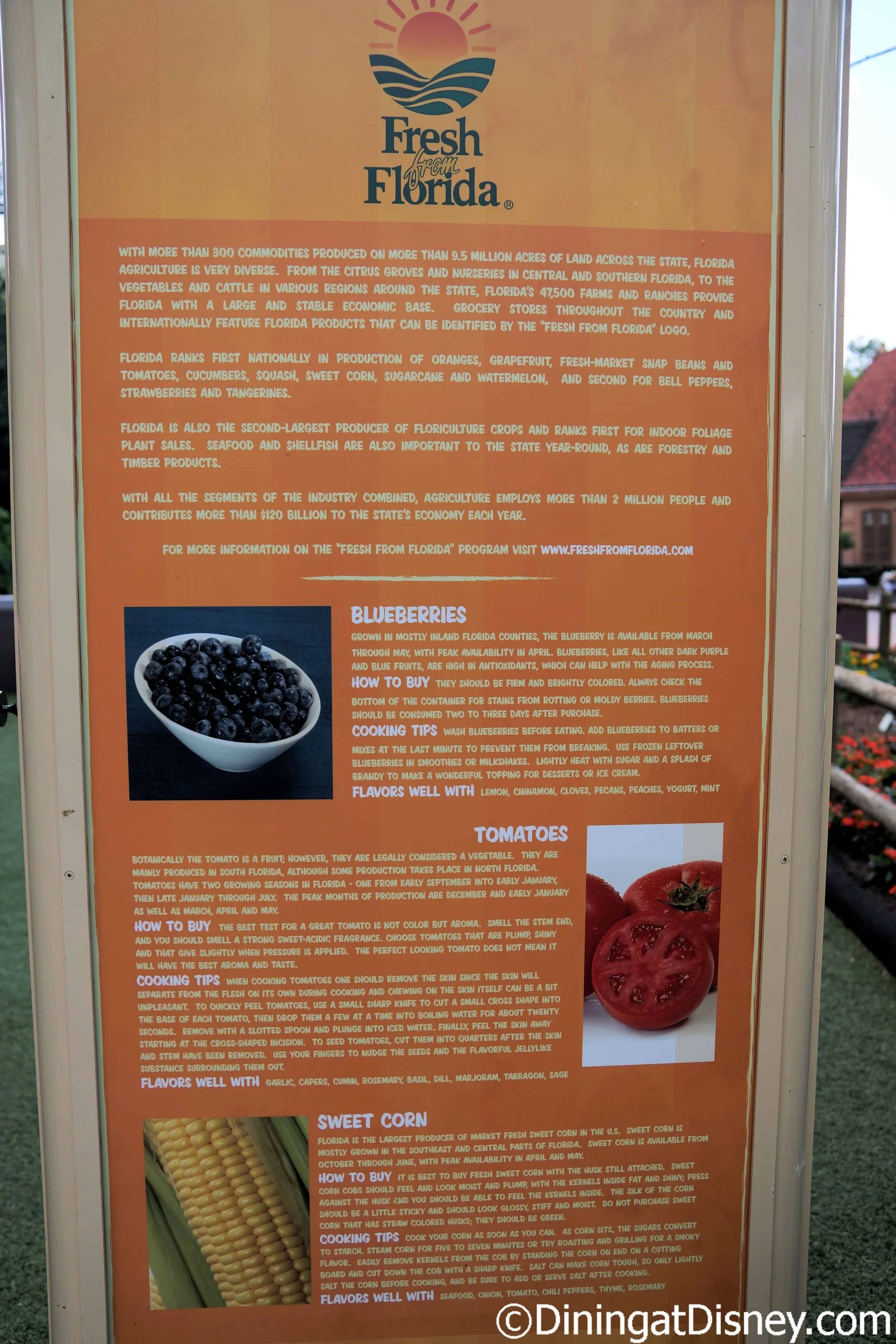Epcot Flower and Garden Festival: Florida Fresh