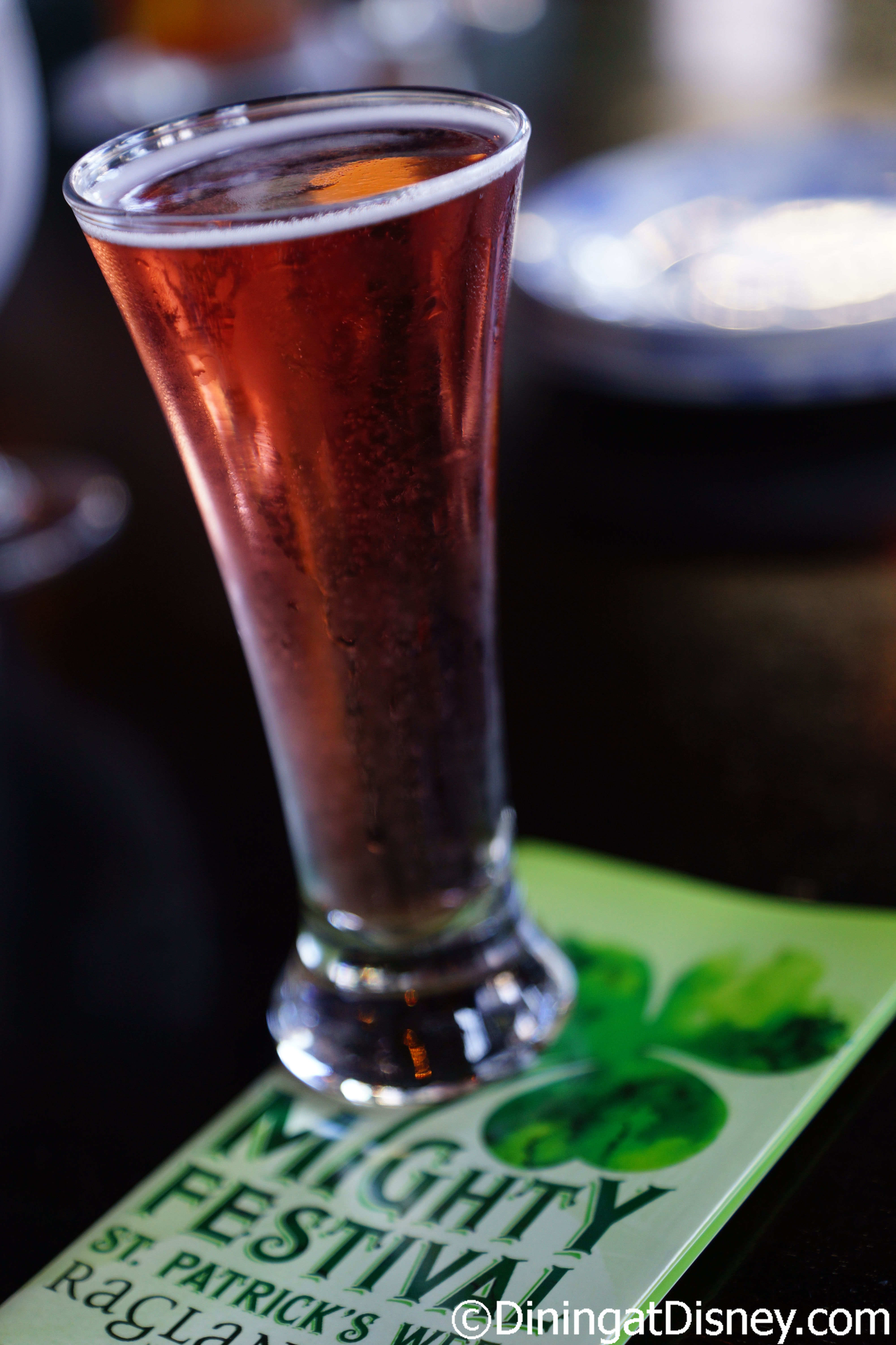 Raglan Road Mighty St. Patrick's Festival 2017