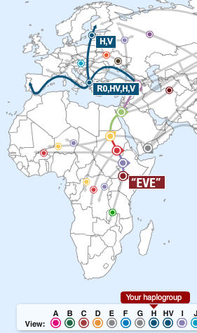 Mitochondrial Eve | DNAeXplained – Genetic Genealogy