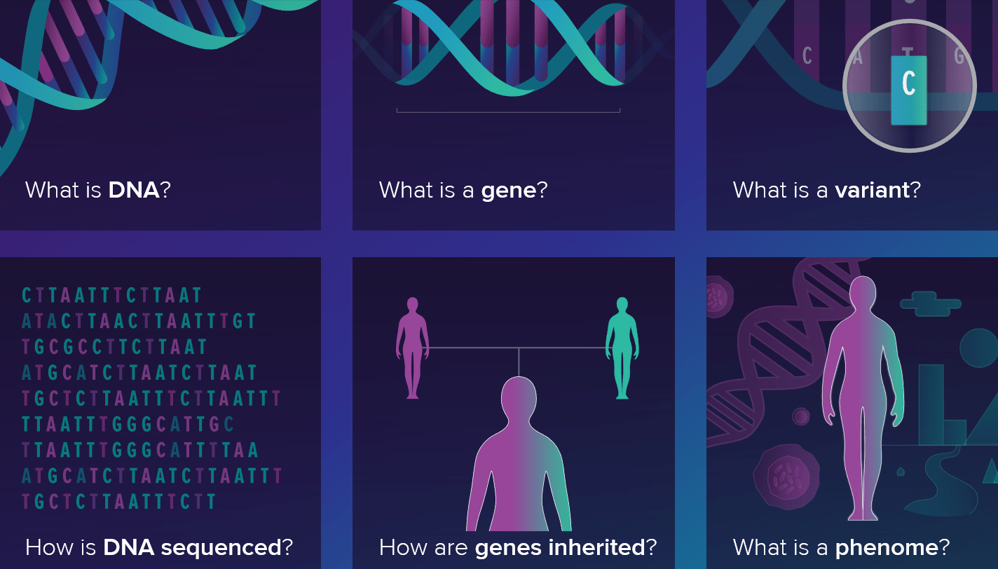 Genos – A Medically Focused DNA Exome Test | DNAeXplained – Genetic ...