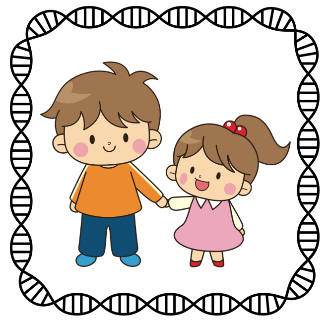 Concepts – Sibling and Twin DNA Matching | DNAeXplained – Genetic Genealogy