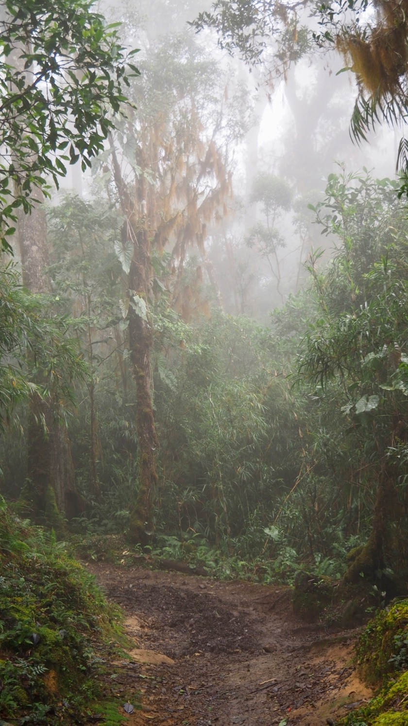 Cerro Chirripó – the highest mountain in Costa Rica and a hike to pure ...
