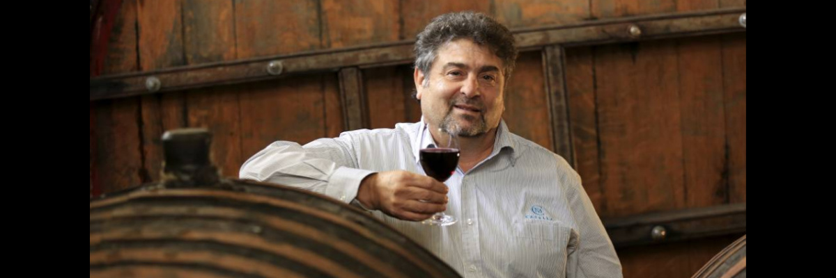 The innovations driving growth for Casella Family Wines - Drinks Digest