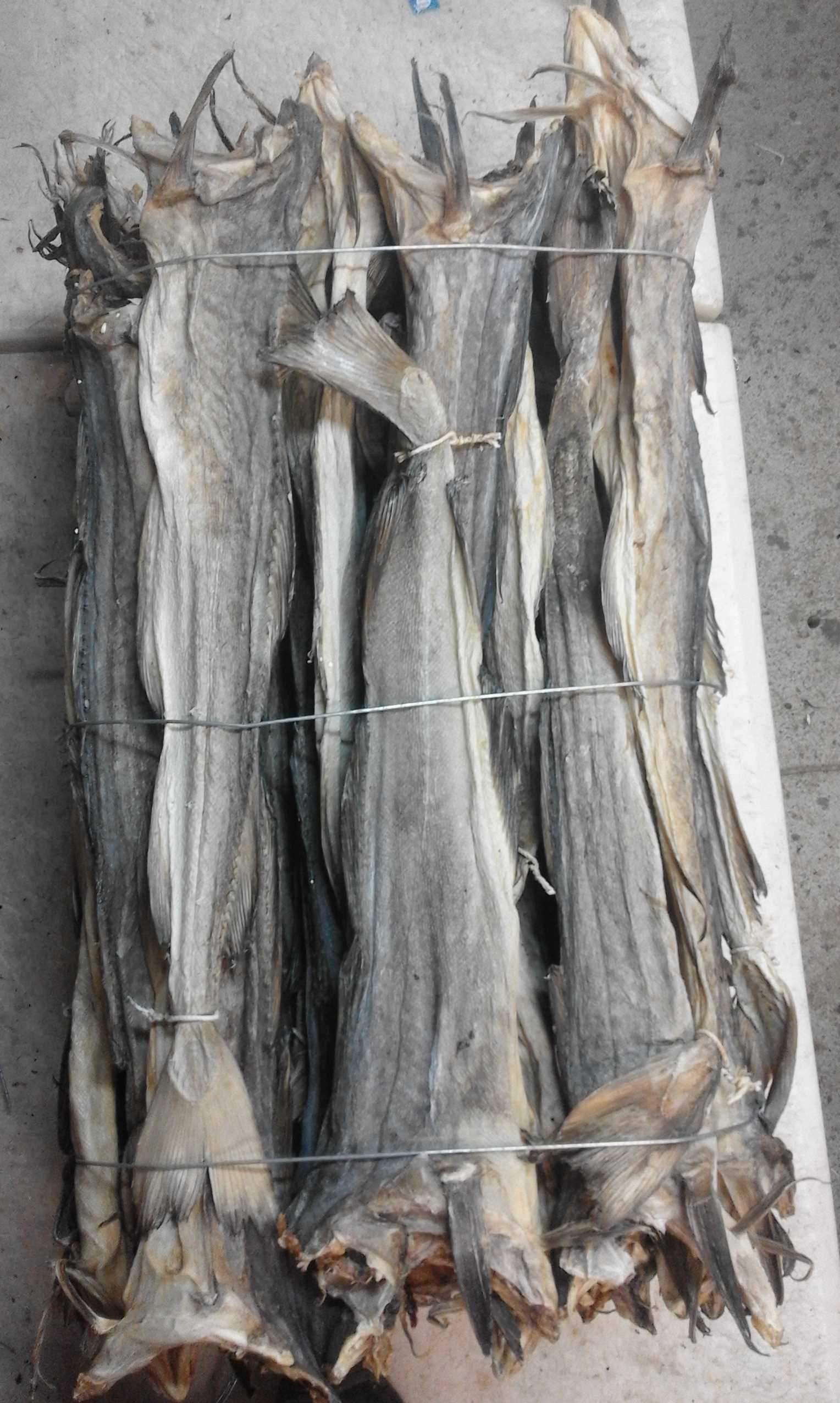 Stockfish – Northern Fish Codfish