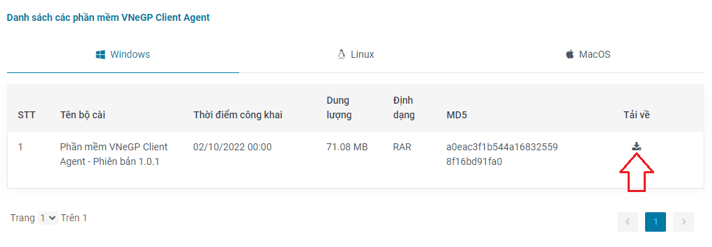 Hướng dẫn cài đặt plugin eGp-AGENT để tham gia hệ thống đấu thầu quốc gia