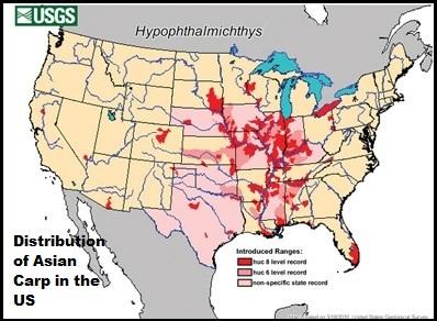 Environmental Attitudes and Stakeholder Perspectives – Valuing Nature