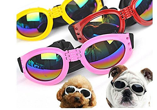 Cool Stylish And Funny cute Pet/Dog Puppy Goggles Sunglasses Waterproof ...