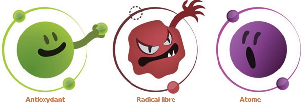 Les radicaux libres et leurs effets sur le corps