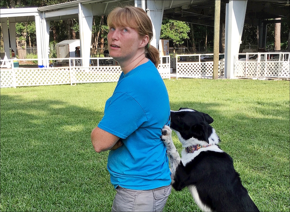 Does Ignoring Bad Behavior Really Work? - eileenanddogs