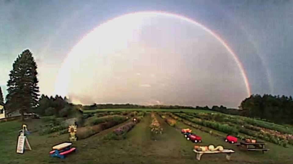 Yesterday Morning vs. Yesterday Evening - ELLEN K DESIGN