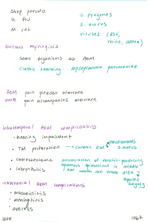 1328. Most common etiologies of otitis media // Bullous myringitis ...