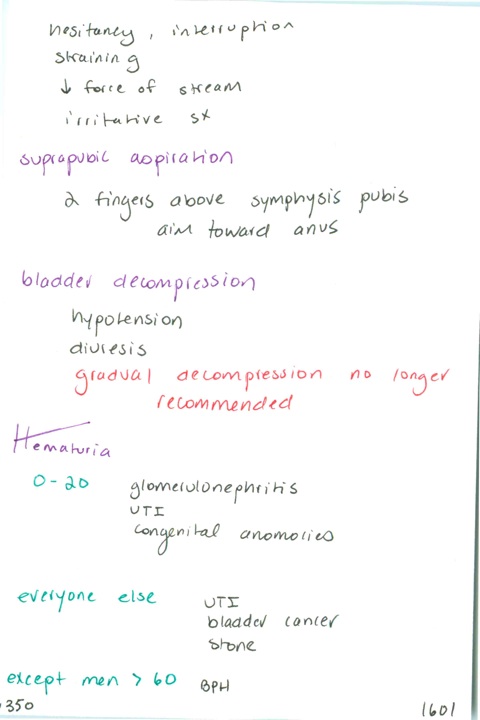 1350. Urinary obstruction s/sx // Suprapubic aspiration technique ...