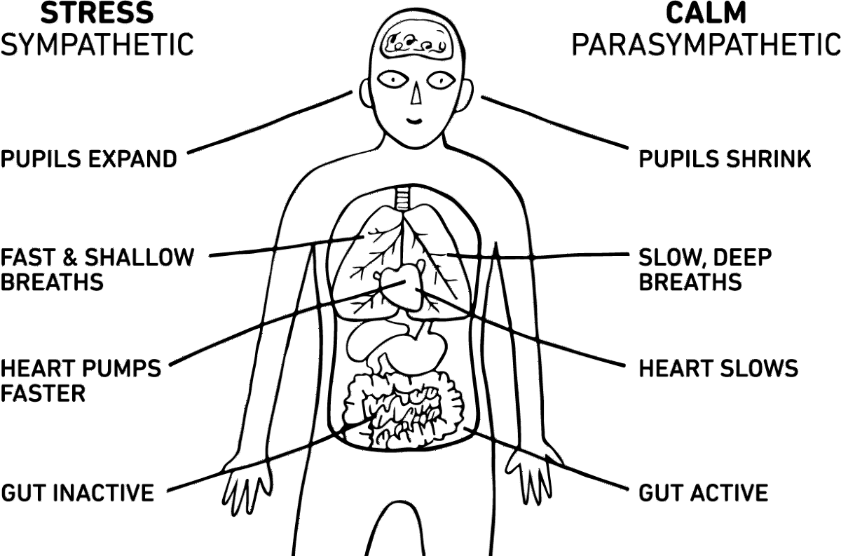 5 Tips to Help You Feel Excitement for Your Life ⋆ Energetic Mastery